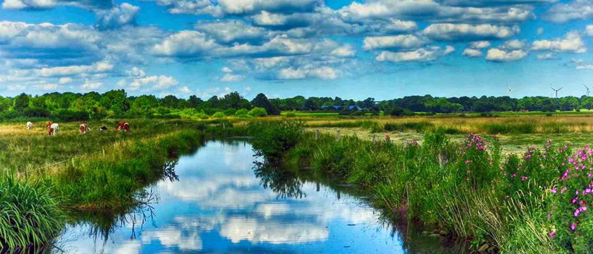 Urlaub in der Deichoase Friedrichskoog – Grüne Küste, blaues Meer ...